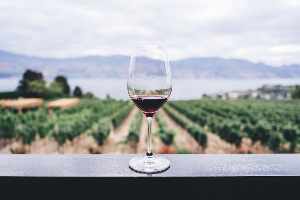 Private Tours, Wine Tours & Luxury Experiences in Cape Town • Cape Town ...